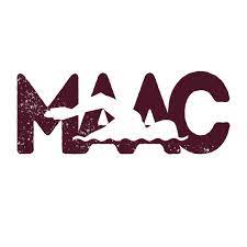 South Metro Storm Swim Club - STORM Swim Club