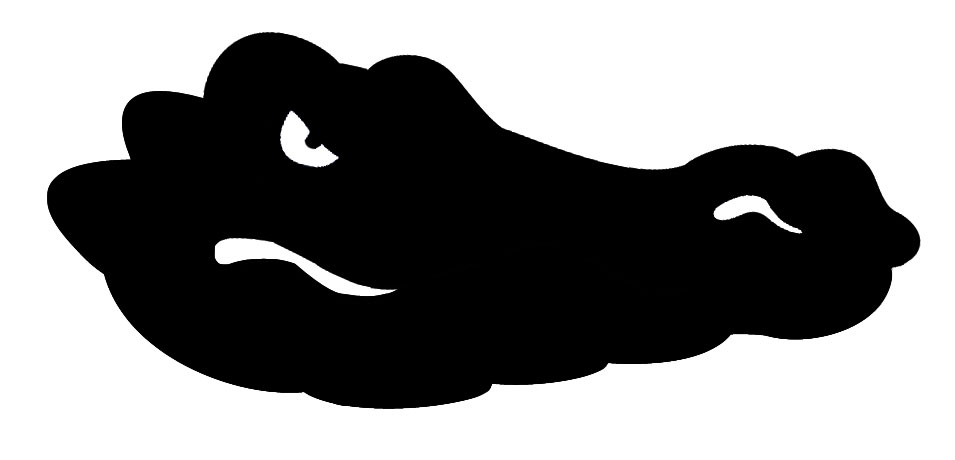 South Metro Storm Swim Club - STORM Swim Club